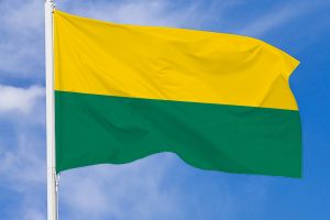 Den Haag Vlag Nodig? Bestel bij Snellermedia